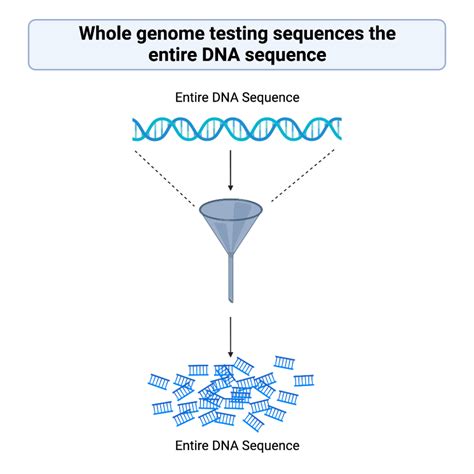 All About Genetic Sequencing Tess Research Foundation All About Genetic Sequencing Tess Research Foundation