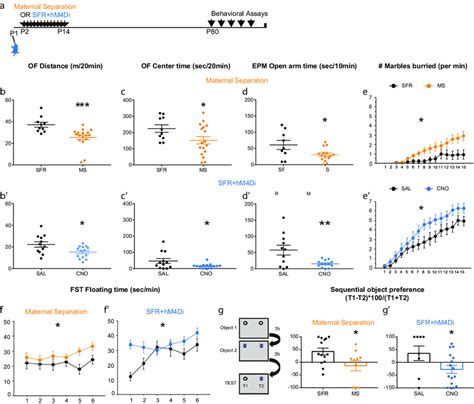 Early Inhibition Of Medial Prefrontal Cortex Mpfc Neurons Download Scientific Diagram