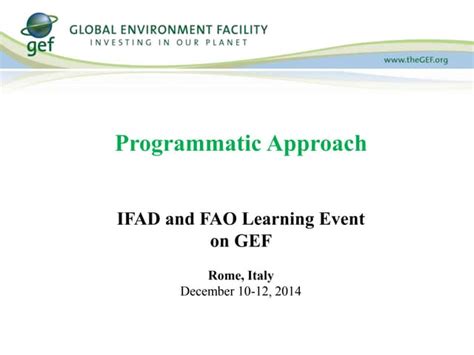 Programmatic Approach Pptx