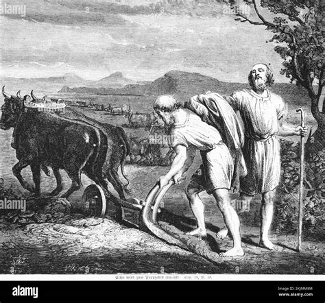 Elisha Is Elected Prophet Son Sapphat Agriculture Plough Oxen