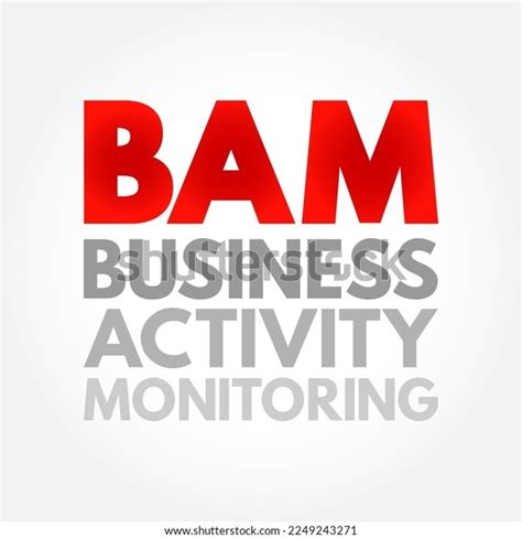 Bam Business Activity Monitoring Software That Stock Vector Royalty Free 2249243271 Shutterstock