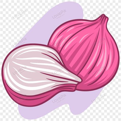 양파 야채 그림 Png 일러스트 무료 다운로드 Lovepik