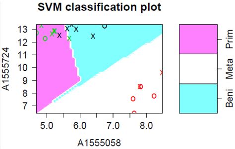14 4 Support Vector Machine Stat 555