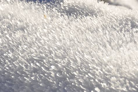 무료 이미지 눈 서리 빙하 냉동고 감기 겨울 왕국 매크로 추위가 아닌 단단한 빙빙 비엘 시원한 화이트 싸늘한 깜짝 놀란 희게 센 얼음 결정