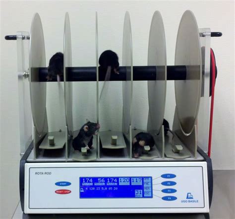 Rotarod Performance Test Alchetron The Free Social Encyclopedia