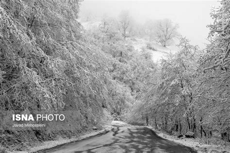 تصاویر زیبا از سفید پوش شدن ماسوله