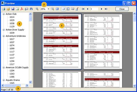 report viewing print and export agile developer