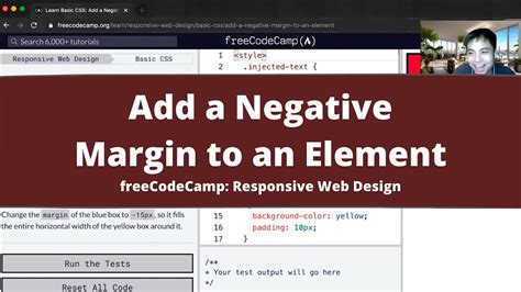 Add A Negative Margin To An Element Basic Css Freecodecamp Tutorial Youtube
