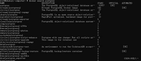 Docker安装postgresqlpostgresql Repmgr 查看可用版本docker Csdn博客