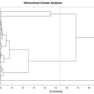 Dendrogram Resulting From The Hierarchical Cluster Analysis Performed