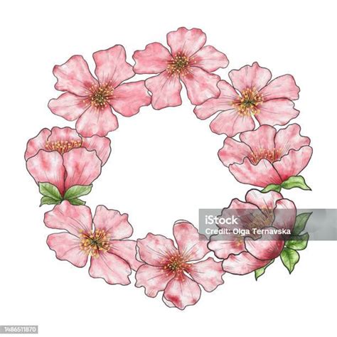 벚꽃 초대장 카드 수채화 핑크 벚꽃이 있는 배너 빈 템플릿입니다 손 그리기 꽃이 있는 둥근 프레임입니다 0명에 대한 스톡 벡터