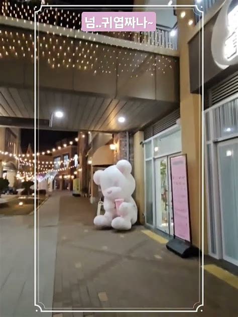 귀엽따~ 핑크곰 곰돌이 블랑쉬다올 Youtube