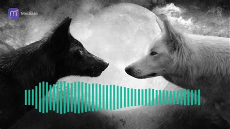 მგლები აუდიო წიგნი 03 Youtube