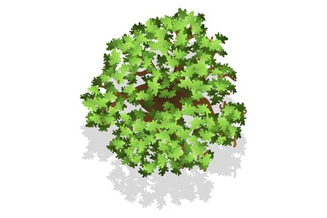 Landscape Design Plant Element Tree Top Graphic By Microvectorone Creative Fabrica