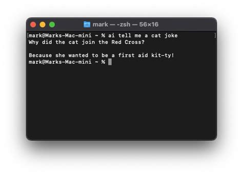 I Created A Simple Shell Script To Embed Chatgpt In The Mac Terminal Source In Comments Ropenai