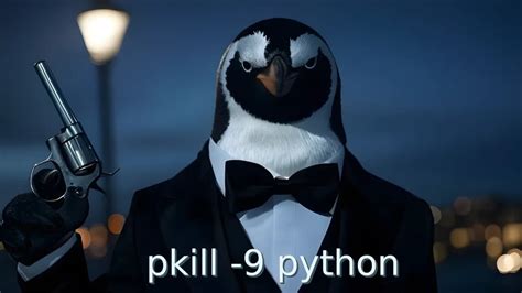 linux signals and process management tools furkan baytekin