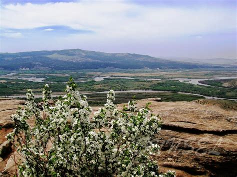 Би хөх монголын тасархай Сайханы хөтөл