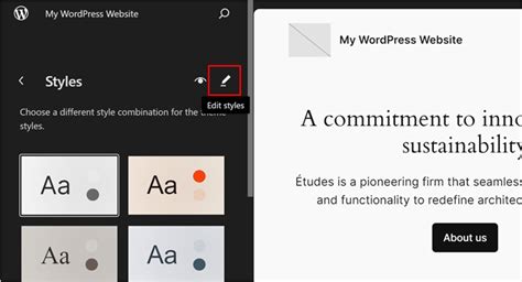 what is theme json file in wordpress and how to use it purchase all