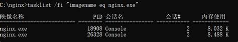 Windows下nginx的安装与使用nginxwindows Csdn博客