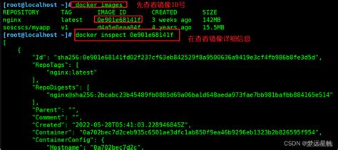 docker容器部署详解 csdn博客