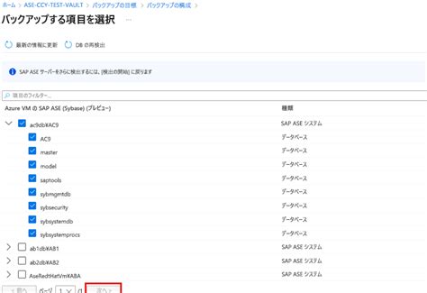 azure portal を使用して azure vm 上の sap ase sybase データベースのバックアップを構成する