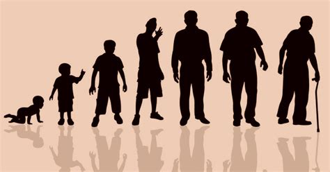 ¿qué Cambios Ocurren En El Organismo Por El Proceso De Envejecimiento