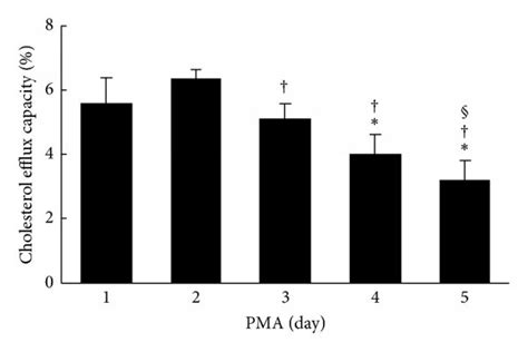 The Effect Of Differentiation On Cholesterol Efflux Capacity Of Apoa I