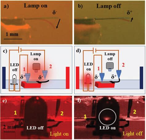 Reversible Actuation And Its Use As A Switch Ab Reversible Actuation