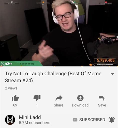Nice R Miniladd