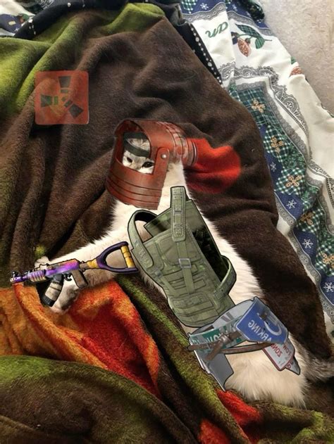 Rust Cat в 2025 г Rust Cat в 2025 г