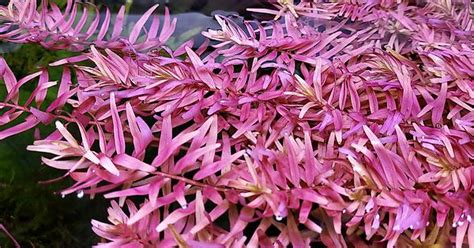 125 Update Album On Imgur