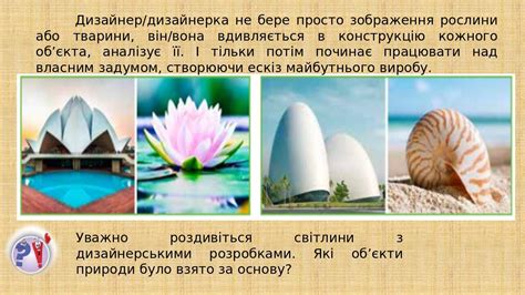 Дизайн його види 5 клас НУШ Презентація Образотворче мистецтво