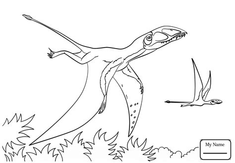 Printable Pterodactyl Coloring Page Printable Word Searches