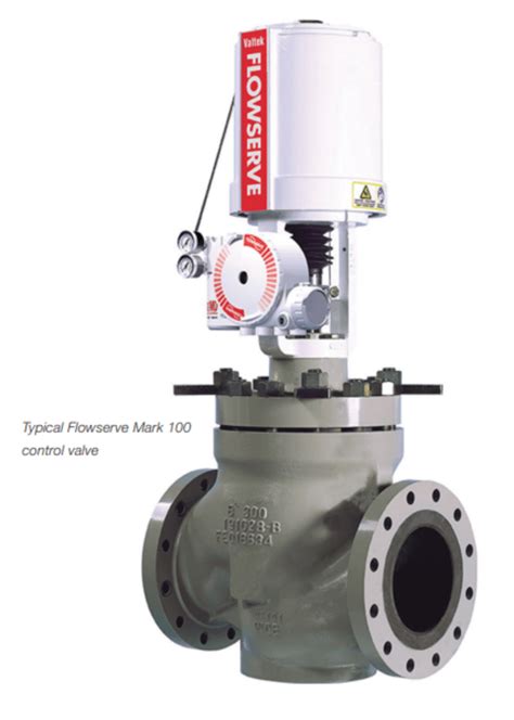 Flowserve Valve Selection Collaboration Improves Plant Process Design