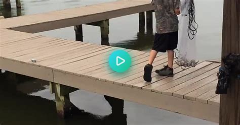 Throw Net Album On Imgur