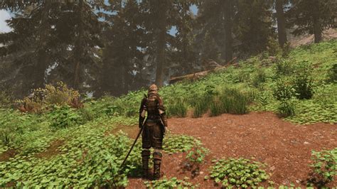 show me your skyrim without enb but with community shaders and anything extra r skyrimmods