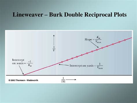 Ppt Enzyme Kinetic Powerpoint Presentation Free Download Id305372