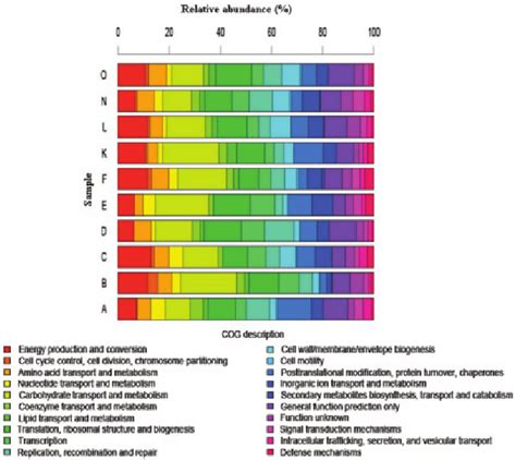 A Recent Metatranscriptomic Analysis Determined The Distribution Of Download Scientific Diagram