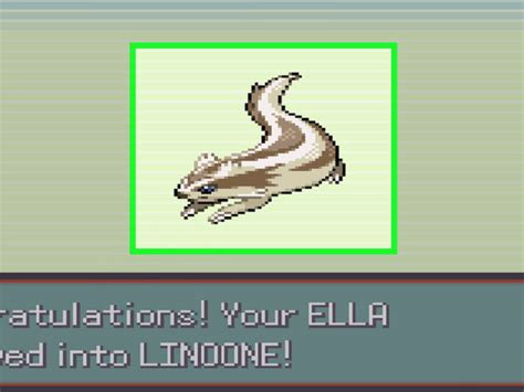 How To Catch And Evolve Zigzagoon On Pokémon Emerald 6 Steps