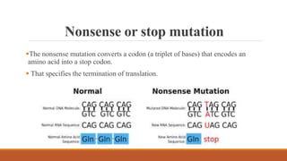 Genetic Code Deciphering Propertie And Code Dictionary PPTX Programming Languages Computing