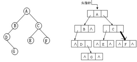 二叉树的存储结构 二叉链表 三叉链表 papering 博客园