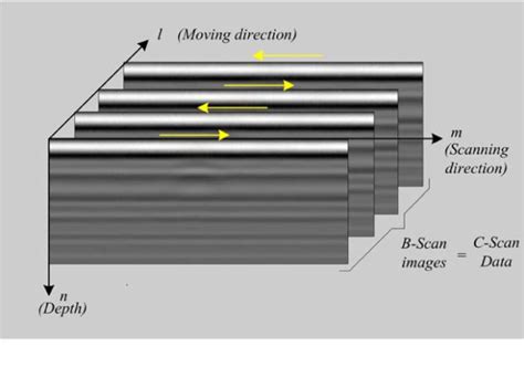 GPR Data Collection Plan For The Handheld Detector Searching Scenario Download Scientific Diagram