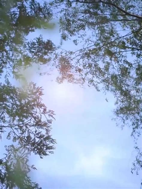 Caddy Shopz ตู้เย็น ตู้เย็นมินิ 42l 68l ตู้แช่เย็น ตู้เย็น2ประตู Mini Refrigerator มี2ชั้น