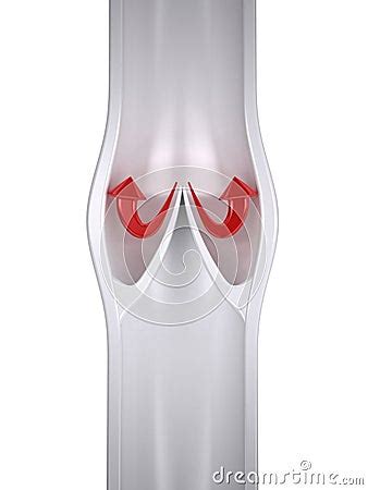 Blood Flow In Vein Cross Section Of Vein Stock Illustration Image