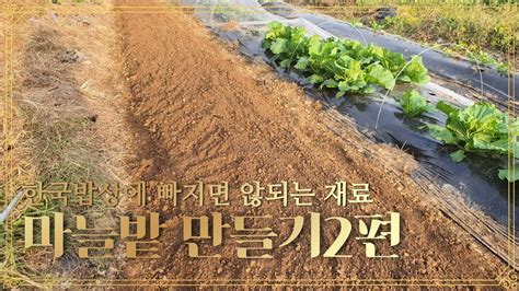 한국밥상의 소울 재료 마늘키우기기초밭만들기2편마늘키우기밭만들기텃밭에 심는 마늘마늘농사 Youtube