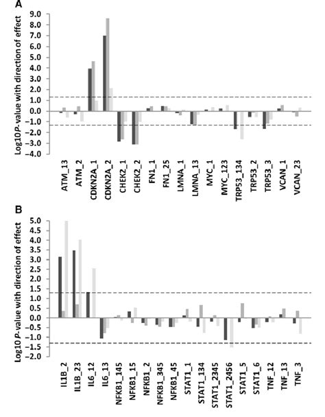 The Expression Of Alternative Isoforms Of Key Genes According To Mouse