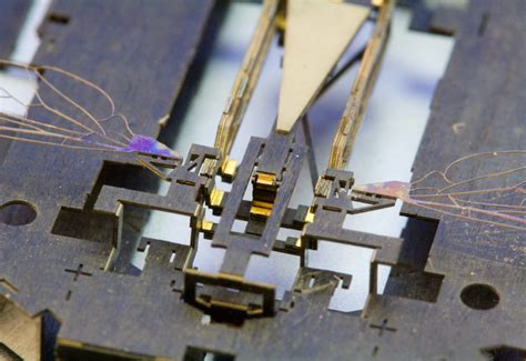 These New Developments Have Technology Buzzing Like A Bee Create Digital