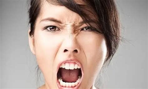 Prefrontal Cortex Functions Dysfunctions Of The Prefrontal Cortex