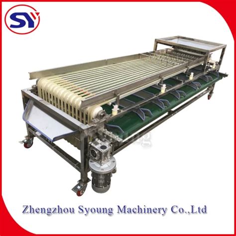 Strawberryred Dates Fruit Sorting Grading Machine Fruit Grading