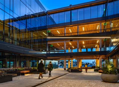 Allen Institute For Artificial Intelligence Txbug